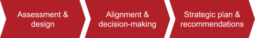 Strategic Alignment Program – Burnie Group