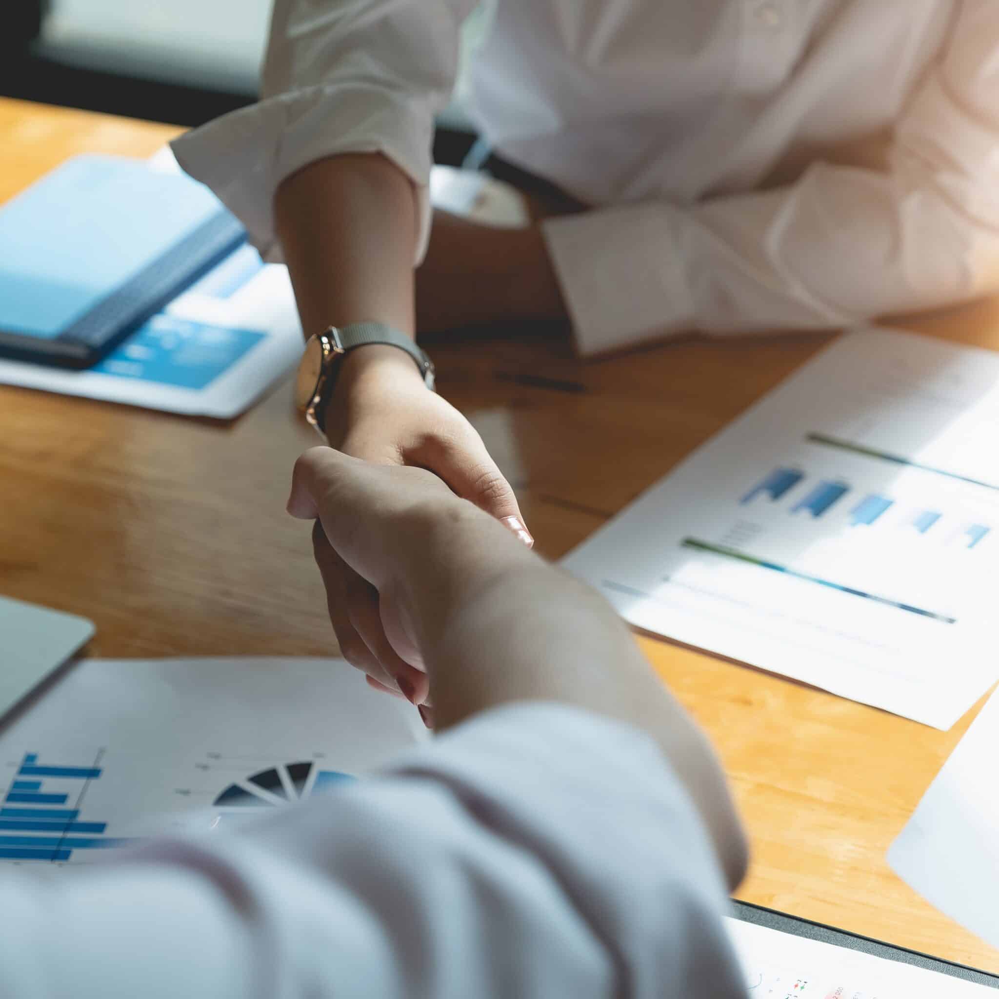 M&A Synergies Explained – Burnie Group